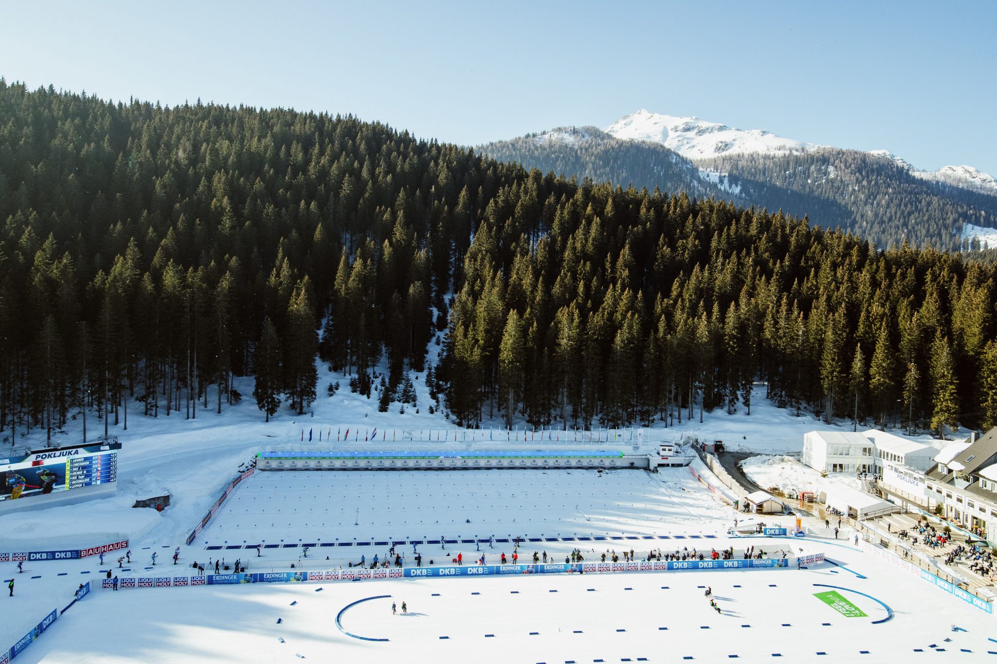 Sloski – Smučarska zveza Slovenije